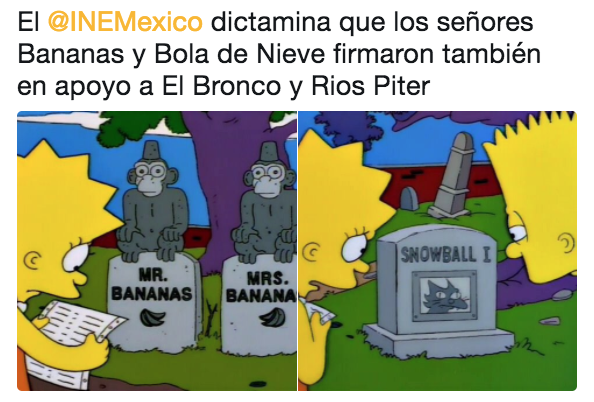 Los memes del fraude del Bronco