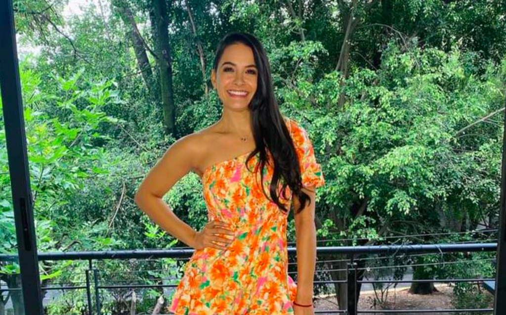 Identifican como elemento de la PDI a sujeto que chocó auto de Georgina ...