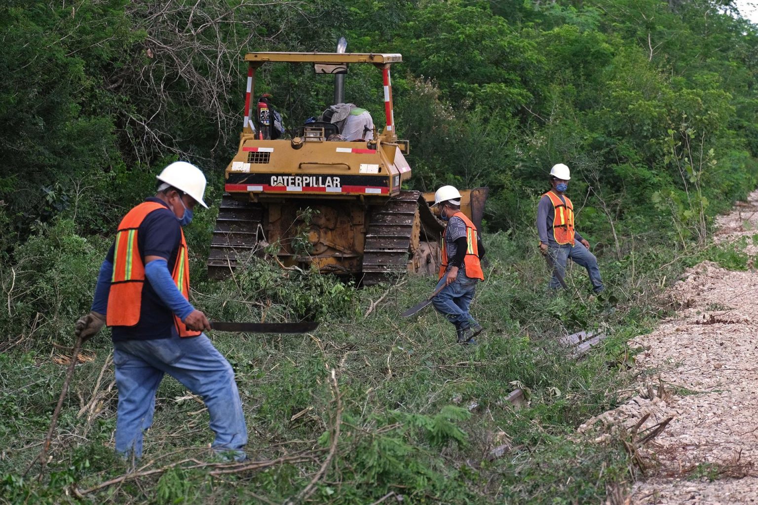 Quintana Roo: Se disparan casos de picadura de mosca chiclera en zonas ...