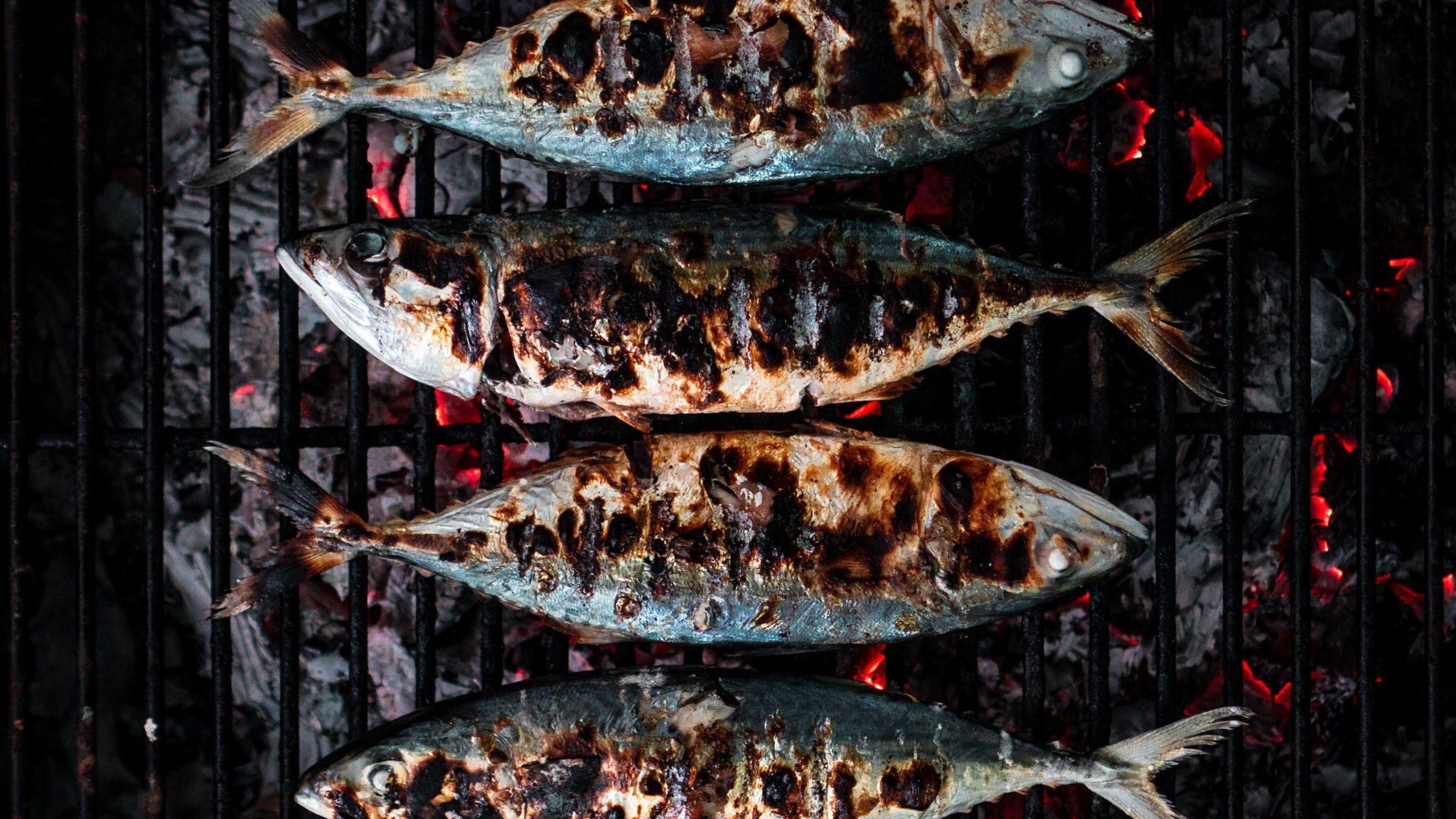 La primera evidencia de cocinado son restos de pescado de 780 mil años
