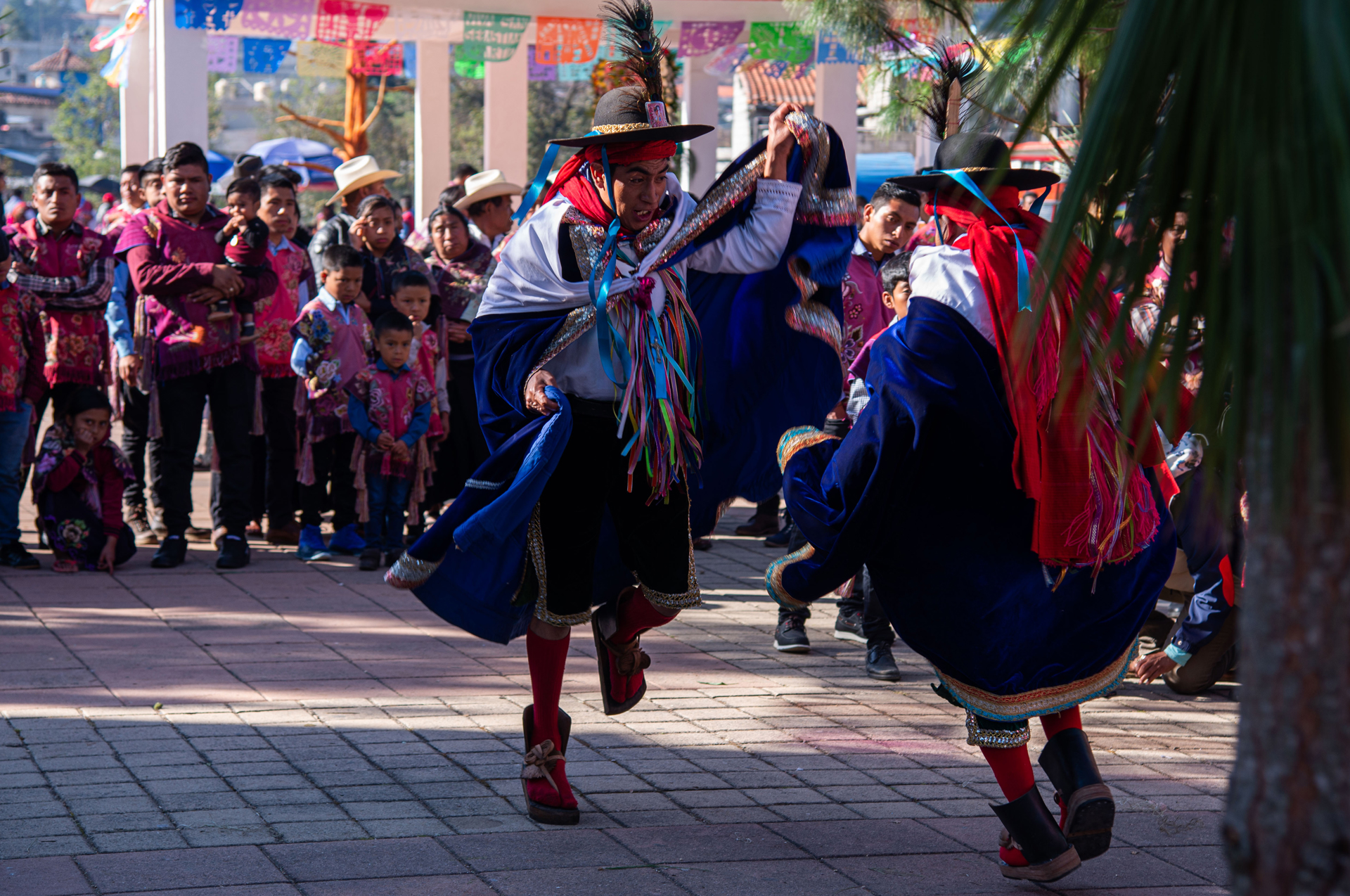 Indígenas tzotziles celebran a San Sebastián Mártir en Chiapas