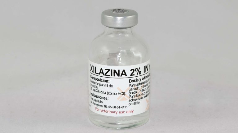EE.UU. designa a la xilazina como "amenaza emergente" a la salud pública