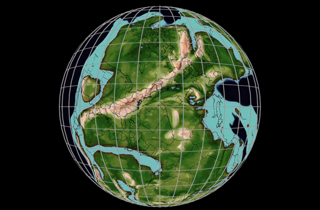 Científicos determinan el momento de la mayor extinción masiva de la ...
