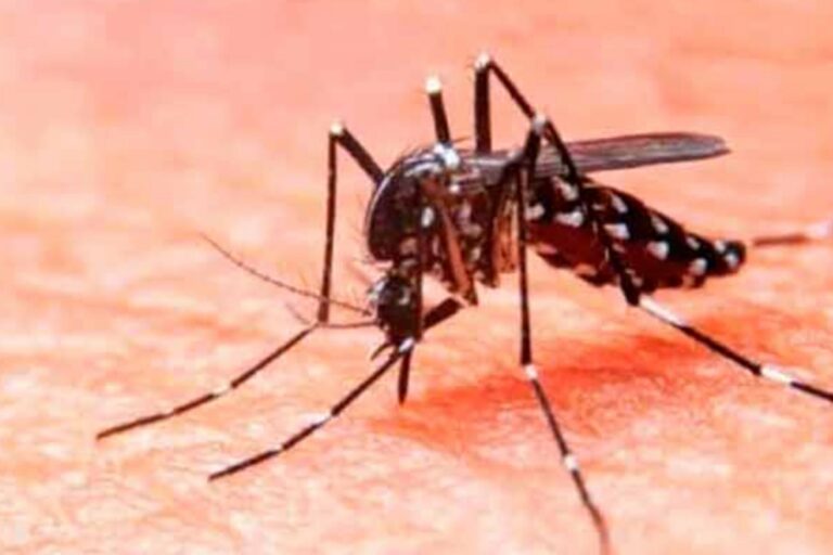 Presentan Plan Nacional contra Dengue; van 18 muertes en lo que va de 2025